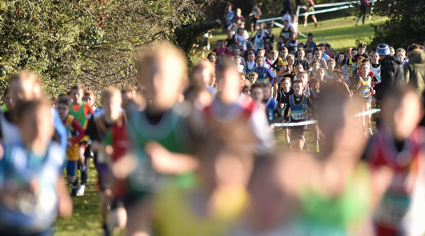 Vetting Act to commence on April 29 - Athletics Ireland