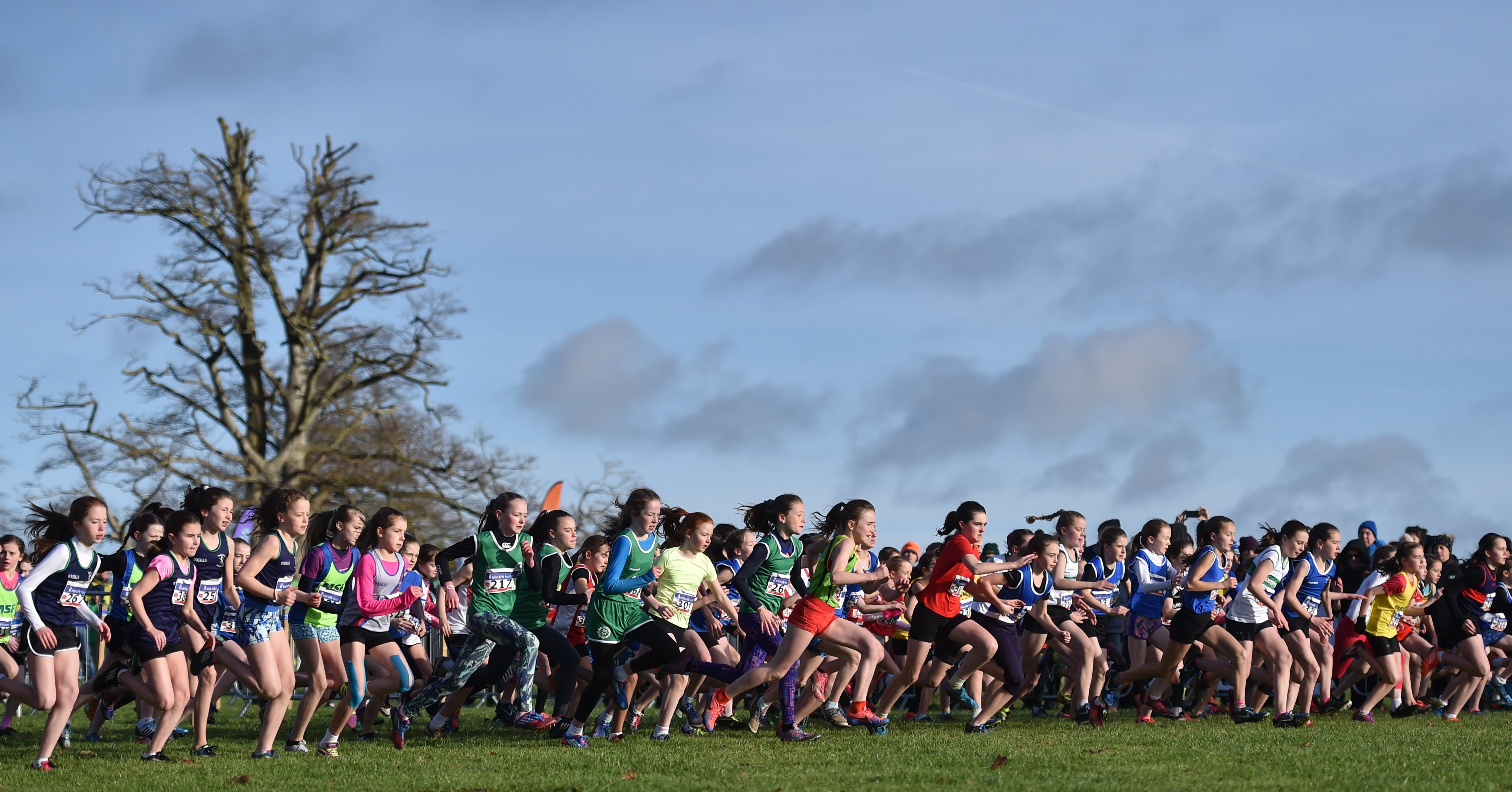 Provisional Entry List Even Age Cross Country Championships - Athletics ...
