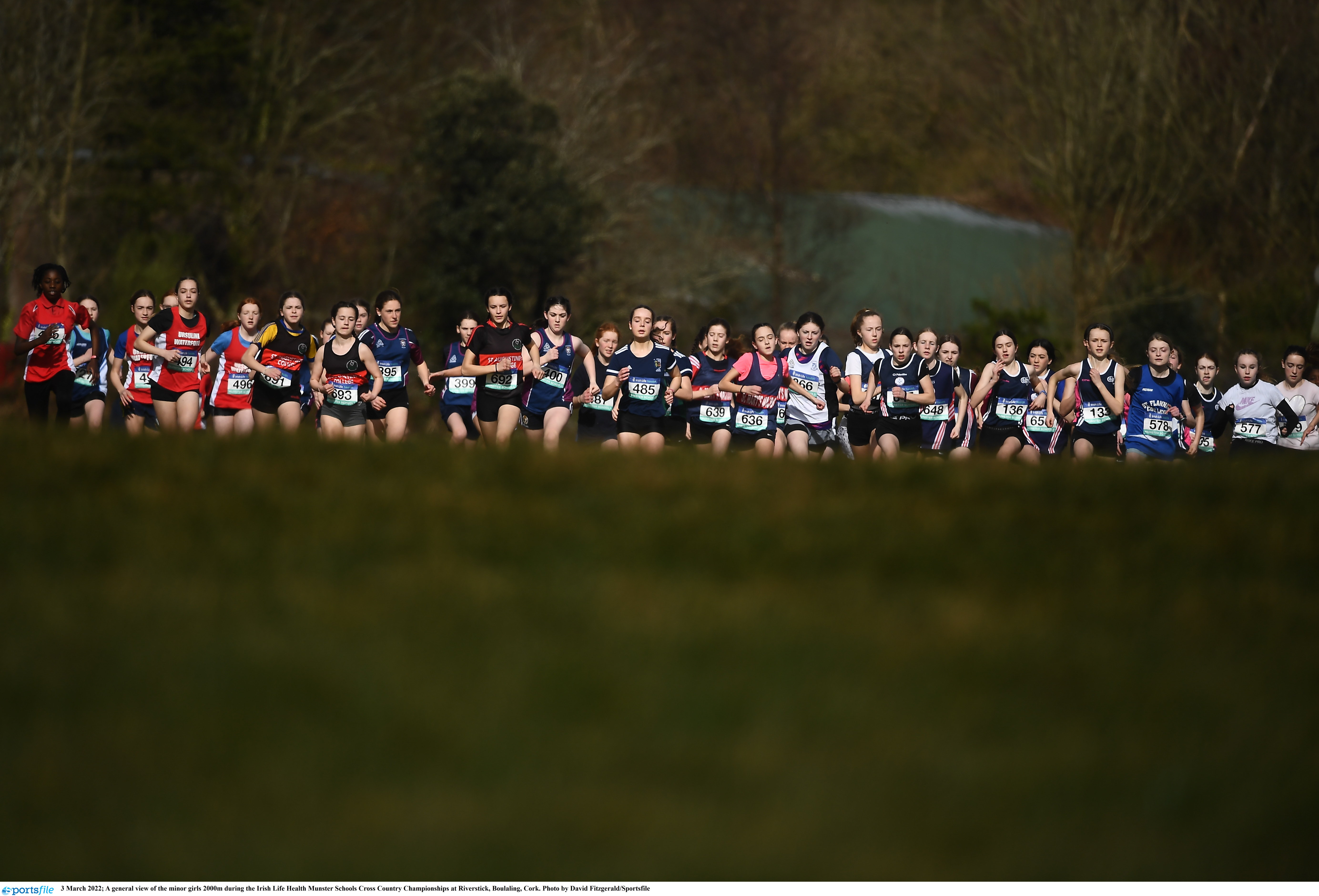 Team Ireland SIAB International Cross Country - Athletics Ireland