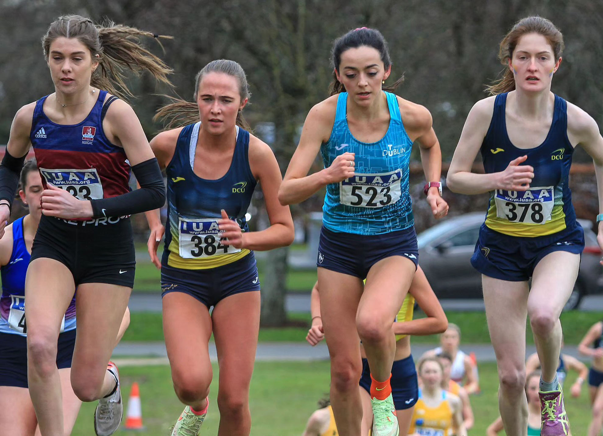 IUAA Cross Country Preview - Athletics Ireland